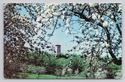Postcard Judson Tower American Baptist Assembly Green Lake Wisconsin | eBay
