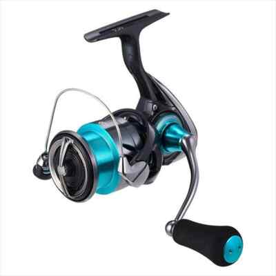 DAIWA Squid Reel 24 Emeraldas X LT2500-XH Gear 6.2 | eBay
