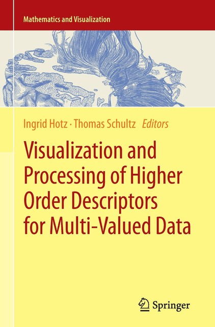 Visualization And Processing of Higher Order Descriptors For Multi ...