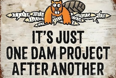 Just One Damn Project After Another Aluminum Weatherproof Funny Sign ...