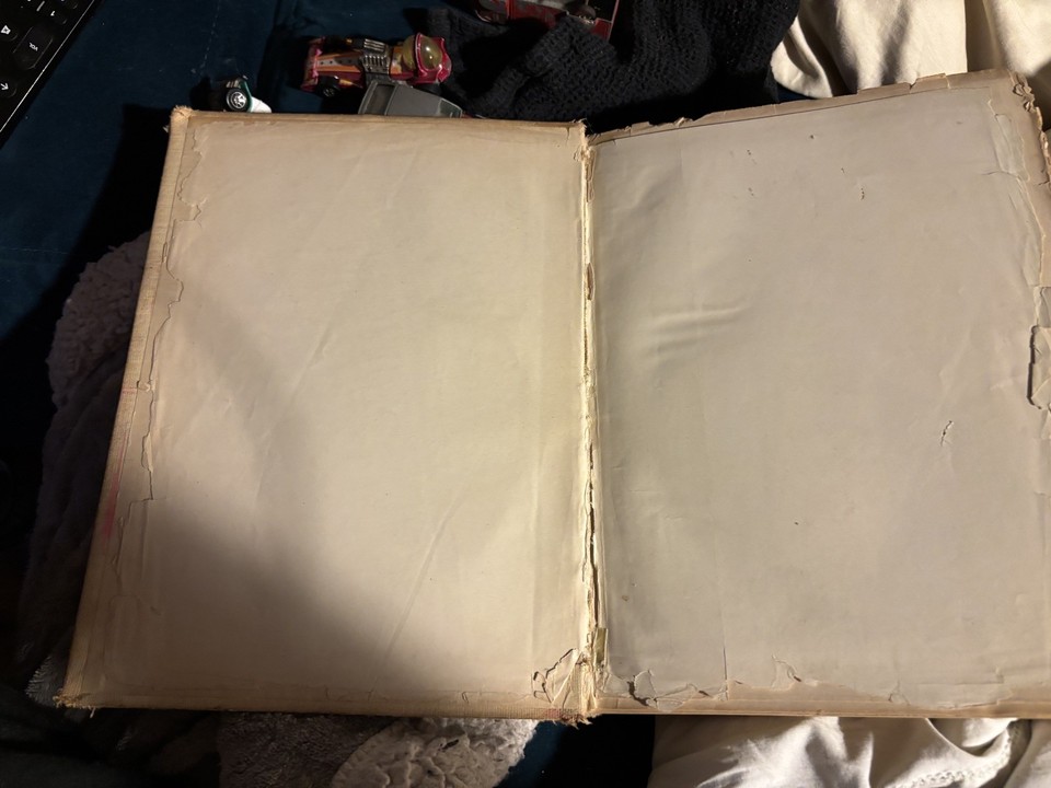Antique 1889 Cook Book by Oscar of the Waldorf by Oscar Tschirky Rare ...