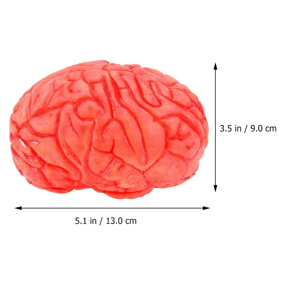 3pcs Halloween Human Brains Body Organ Parts Halloween Brain Props ...