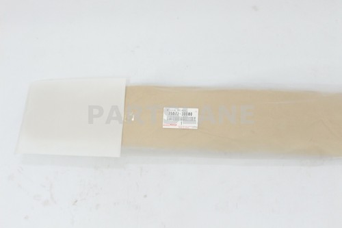 LEXUS GENUINE GS MODEL OEM NEW FRONT (LH) OUTER LOWER DOOR MOLDING ...