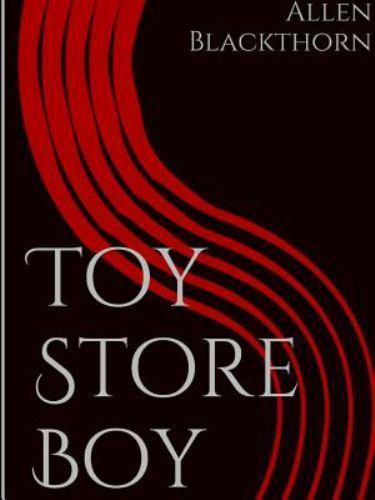 Toy Store Boy by Allen Blackthorn (2014, Trade Paperback) for sale ...