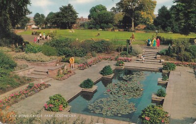 Postcard - Colchester - Lily Pond. Castle Park | eBay UK