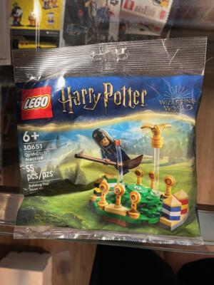 Lego 30651 Quidditch Practice Polybag New(Sealed) | eBay
