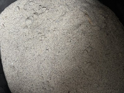 Genuine Connecticut Beach Sand Nautical Craft & Aquarium 4Lb | eBay