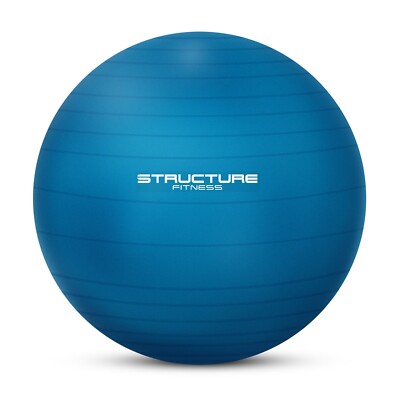 Blue Exercise Ball Structure Swiss Fitness Ball 65cm | eBay UK