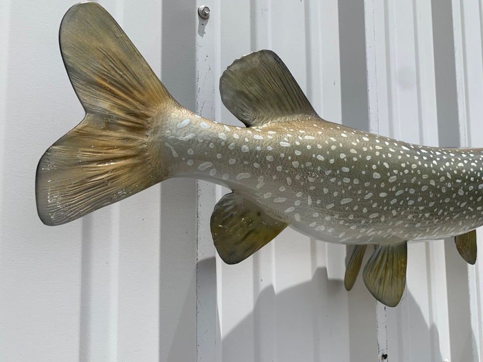 35" Northern Pike Two Sided Fish Mount Replica - Quick Production | eBay