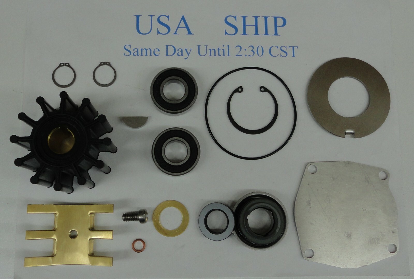 Major Repair Kit Sherwood Pump P1016 P1016-01 Fits Cummins Diesel QSD 2 ...