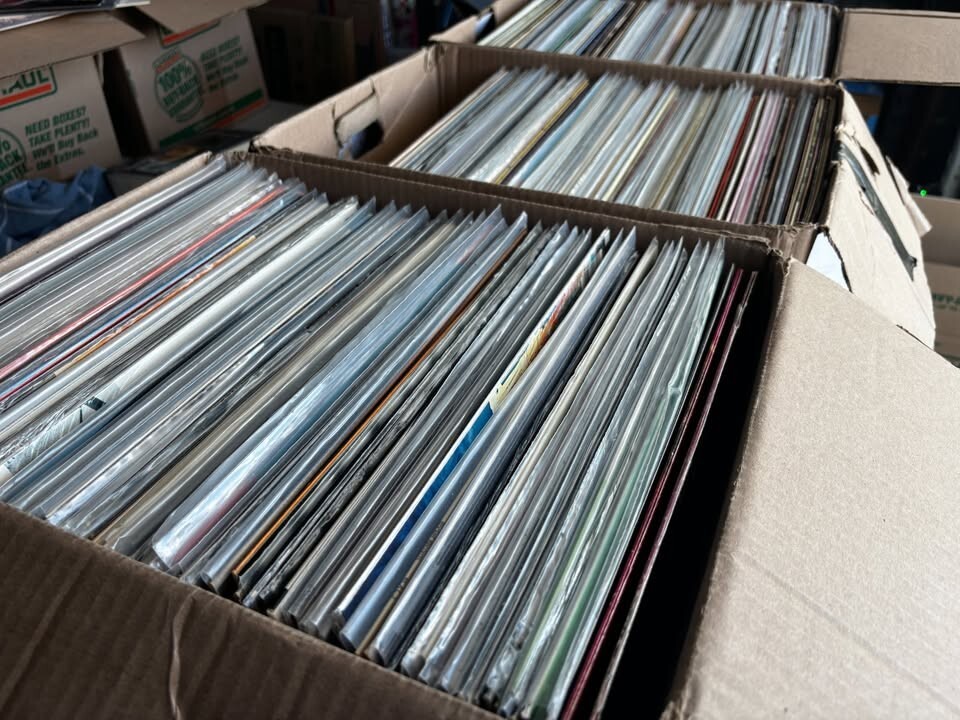 Tyrannosaurus REX record A beard of stars LP 1972 US Pressing Vinyl ...