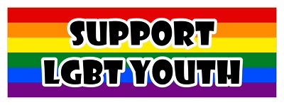 Support LGBT youth Gay LGBT Gay Lesbian diversity decal sticker 3 x 9 ...