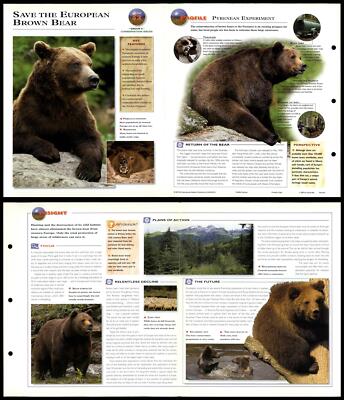 Save The European Brown Bear #52 Conservation - Wildlife Explorer Fold ...