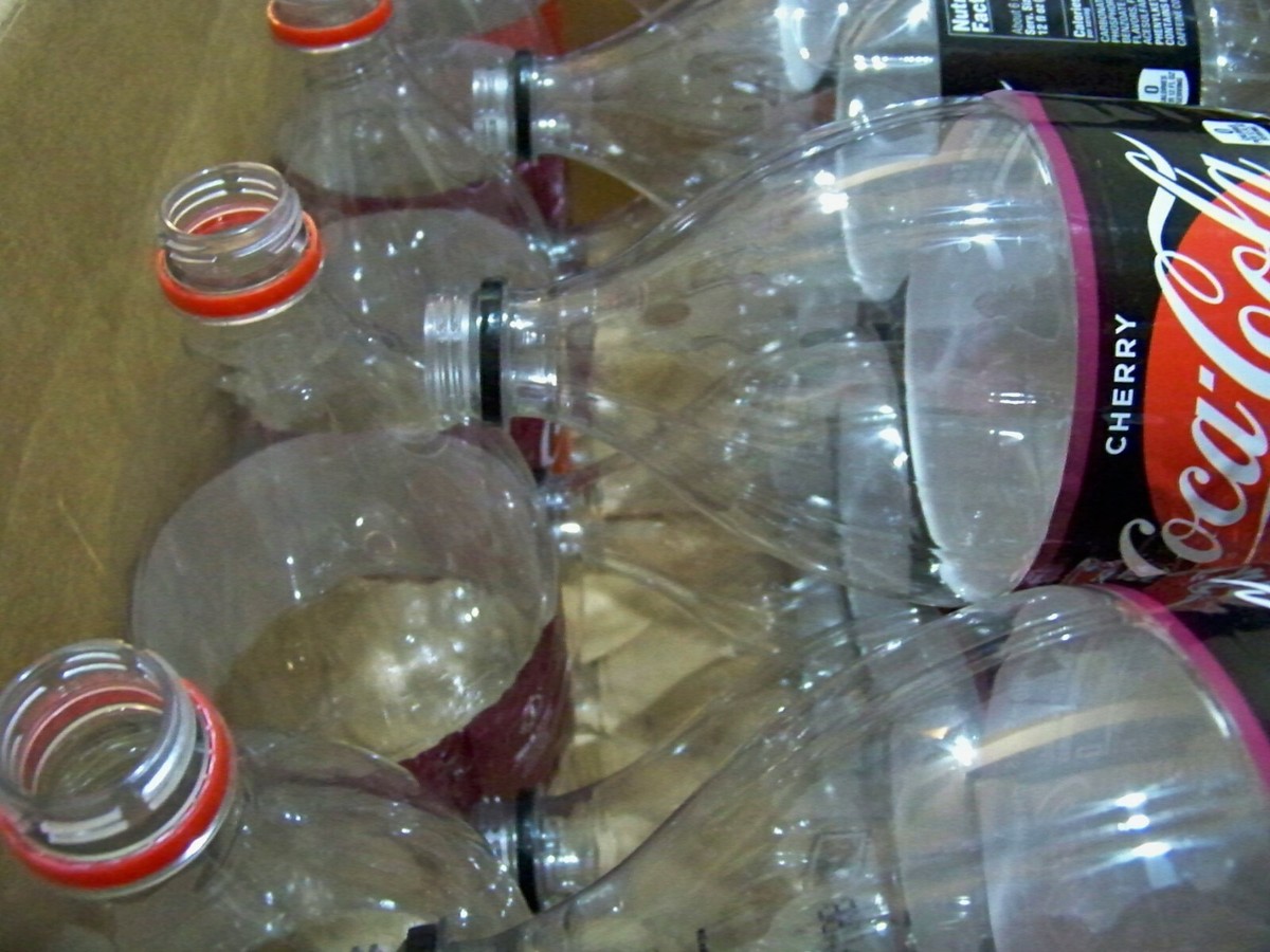 Clear Plastic Soda Bottle