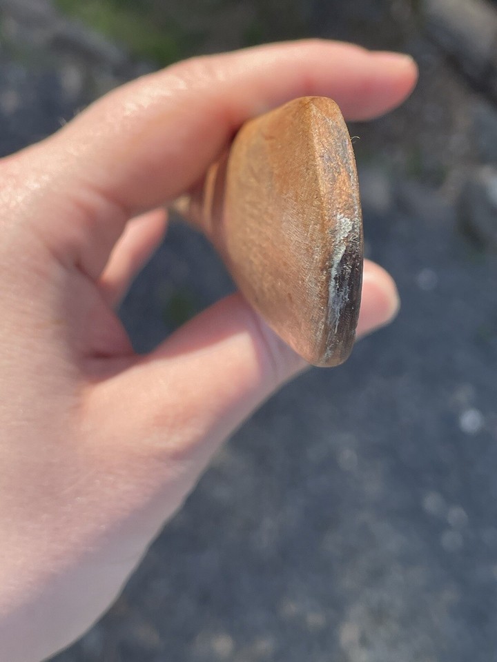 Antique Northwest Coast Native American Carved Wooden Soapberry Spoon ...