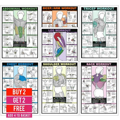 Gym Workout Poster All Body Chart Bicep, Tricep, Abs, Etc Exercises ...