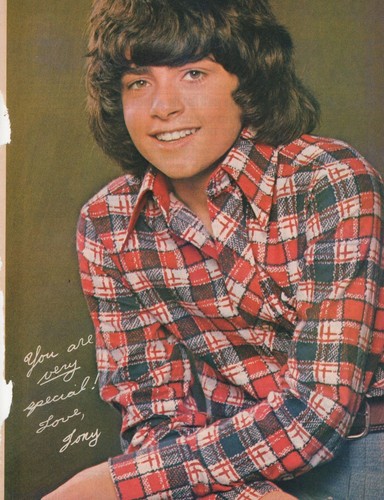 Tony DeFranco pinup Bjorn Skifs Mike Lookinland Jan Michael Vincent ...
