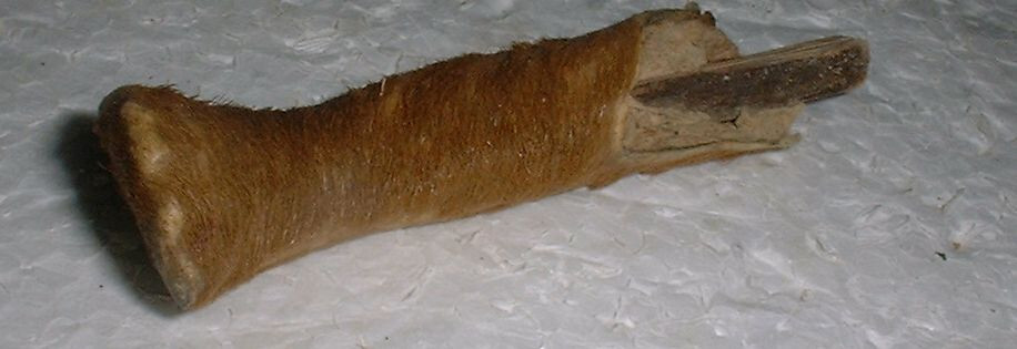 VNTG Paper Mache * Boxer * Bull Dog ? * Sculpture * Glass Eyes * FUR ...