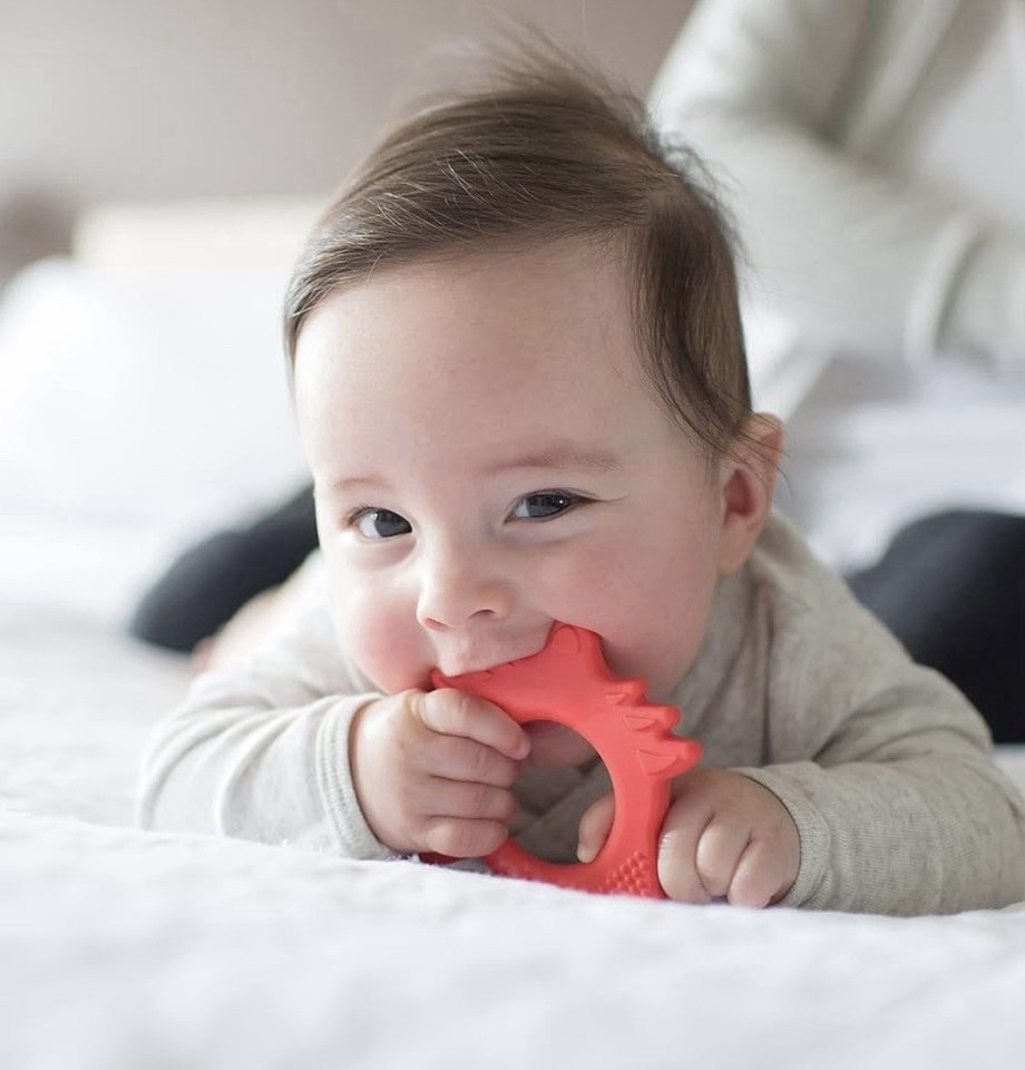 Dr. Brown's Flexees Friends Silicone Teether | eBay