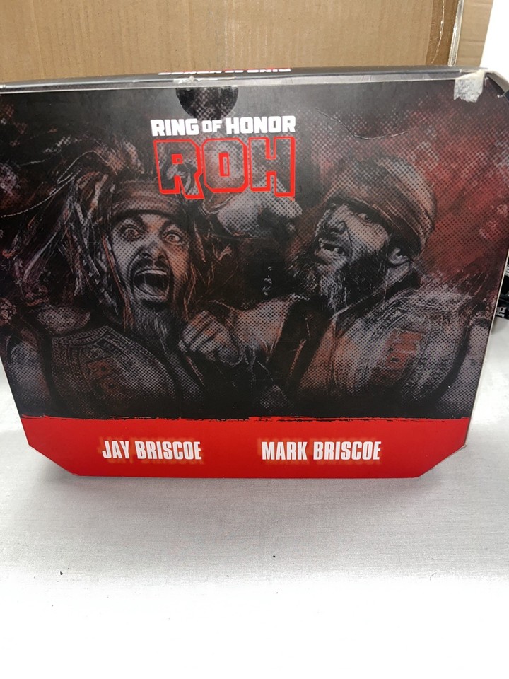 WWE Briscoes Jay Mark Jazwares ROH Vault Exclusive Wrestling Figure 2 ...