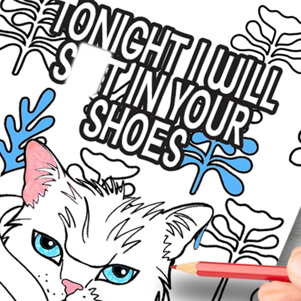 Swearing Cats Catitude:Coloring Book of Funny Kitty Memes for Adult ...