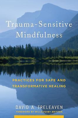 Trauma-Sensitive Mindfulness : Practices for Safe Healing by David A ...