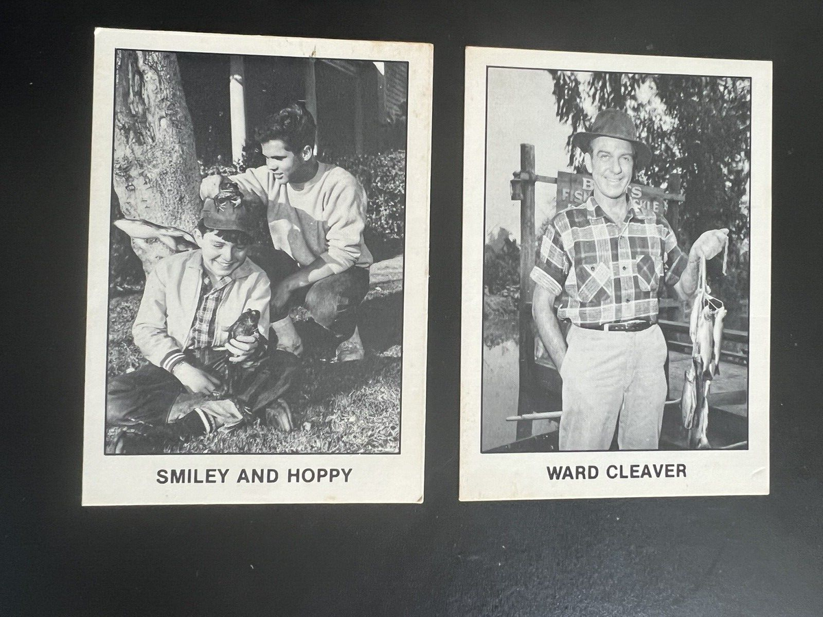 Leave It To Beaver Ward 33 Theodore Beaver Cleaver Stock Photos,