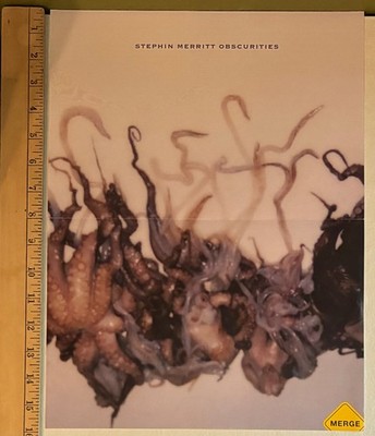 STEPHIN MERRITT obscurities Promo POSTER folded 2011 electronic 12x16 ...