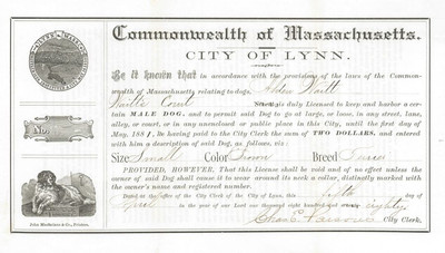 City of Lynn Dog License - 1875-1883 dated Americana - Miscellaneous | eBay