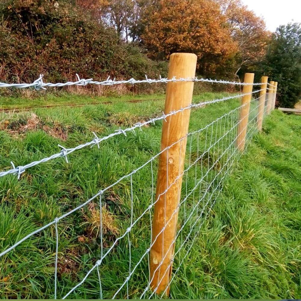 Best Wire Fencing Options