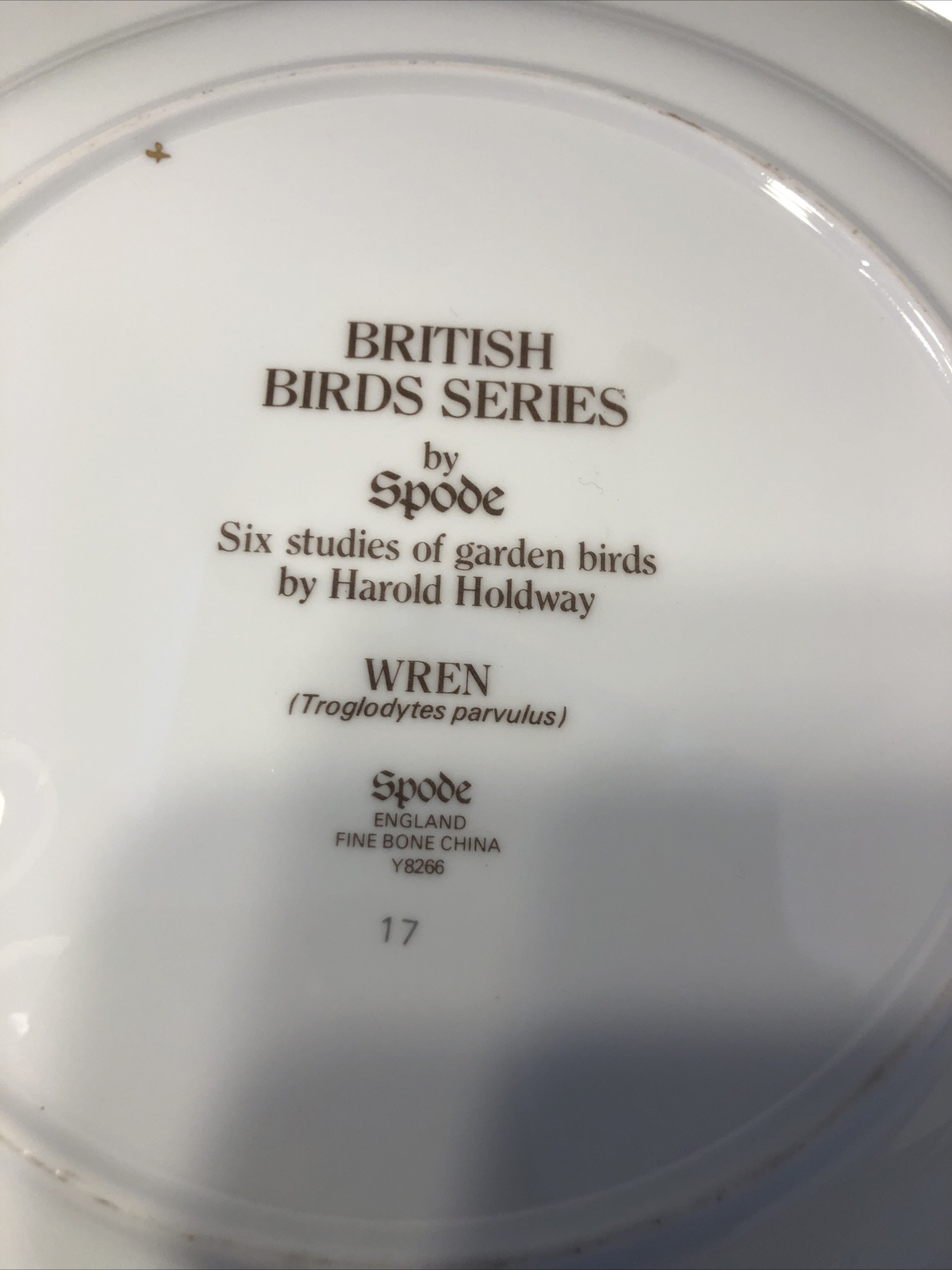 Spode British Bird Series Wren By Harold Holdway 10 1/2" Plate | eBay