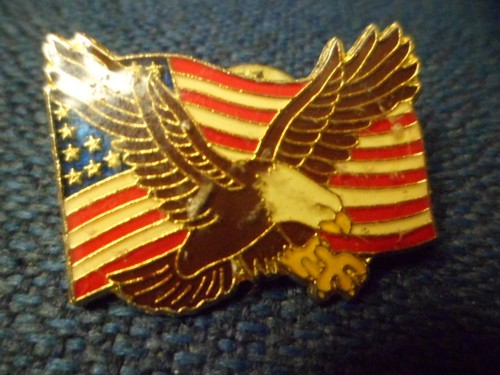 Vintage American Flag & Eagle Pin 1 1/4" Wide 3/4" Tall (71) | eBay