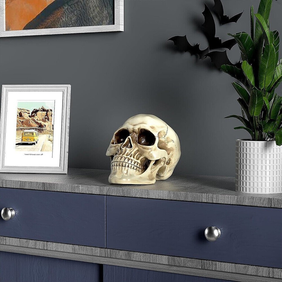 Anatomical Medical Human Skull Replica Model 1:1 Life-size Skeleton ...