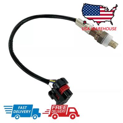 554-100 New NTK Wideband Oxygen Sensor Fits For Holley EFI / C950 | eBay