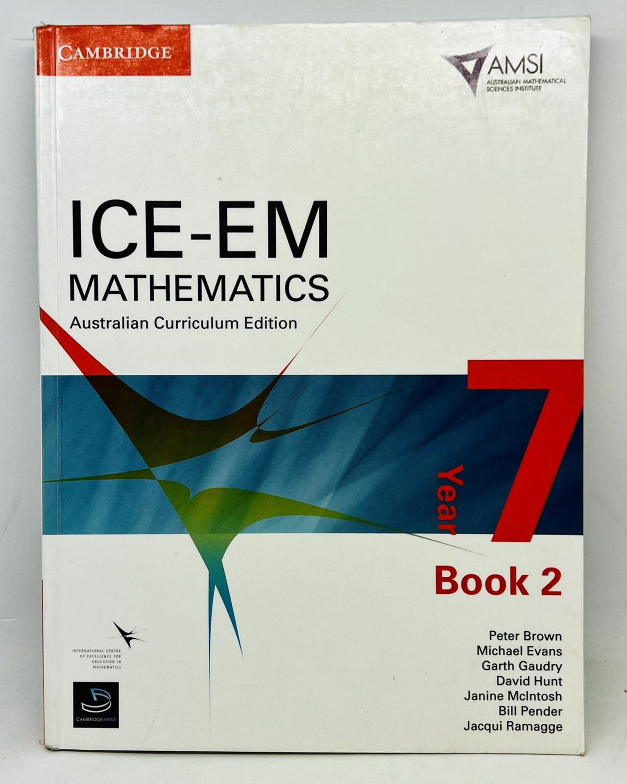 ICE-EM Mathematics Australian Curriculum Edition Year 7 Book 2 by Garth ...