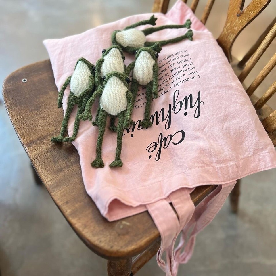 KNITTING KIT Little Frog to knit Five Frogs - Claire Garland Dot ...