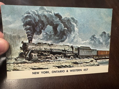 NEW YORK ONTARIO & WESTERN 457 Train Youngs Gap Liberty PC Postcard NY ...