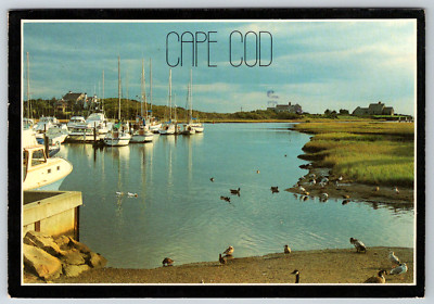c1960s Cape Cod Inlet Chatham Massachusetts Seagulls Vintage Postcard ...