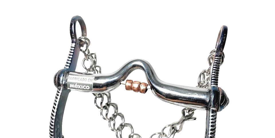 5" CHARRO SADDLE MEXICAN BLUE HORSE BIT, TACK HORSE GEAR, FRENO CHARRO ...