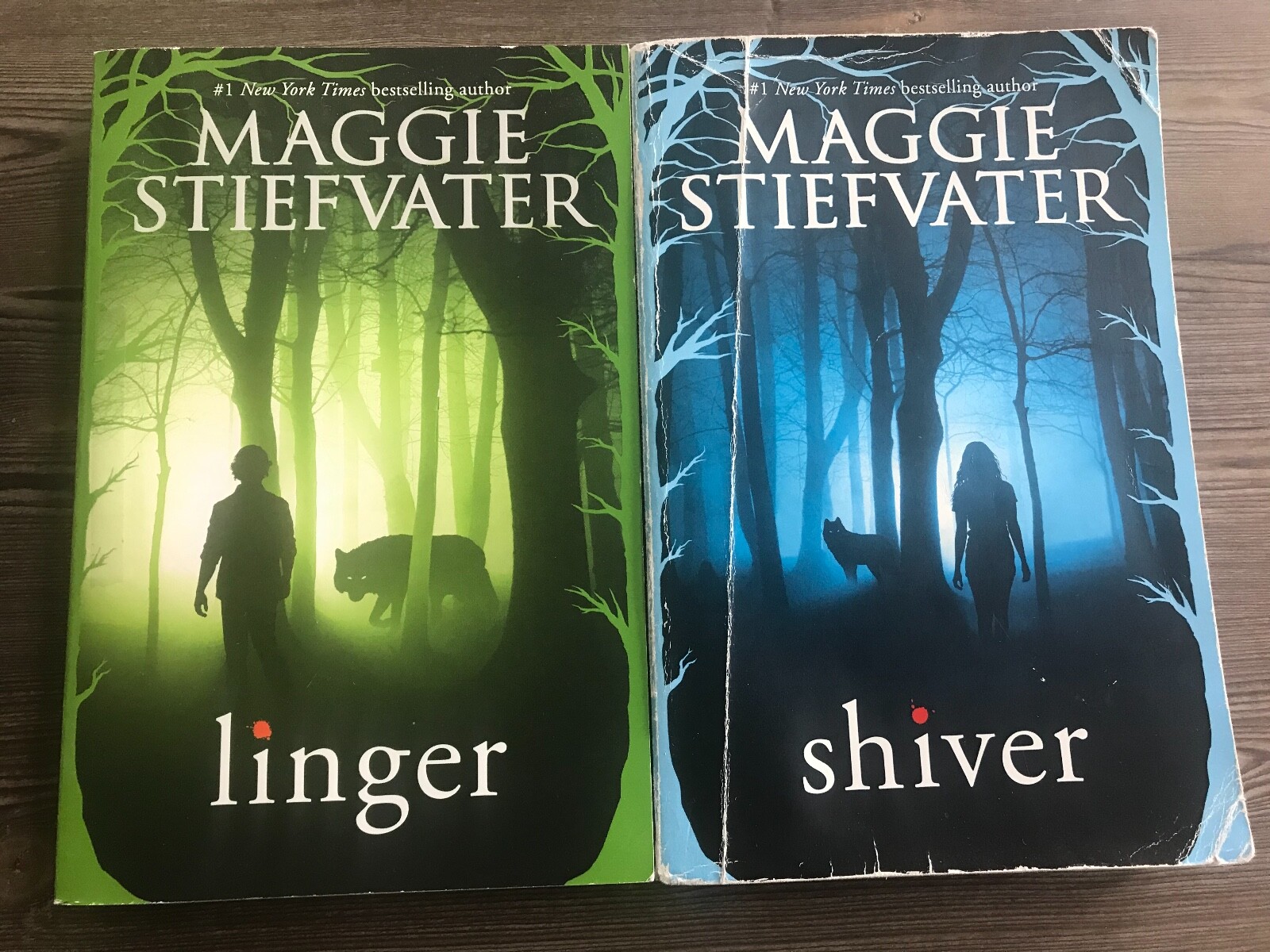 Shiver Book Cover