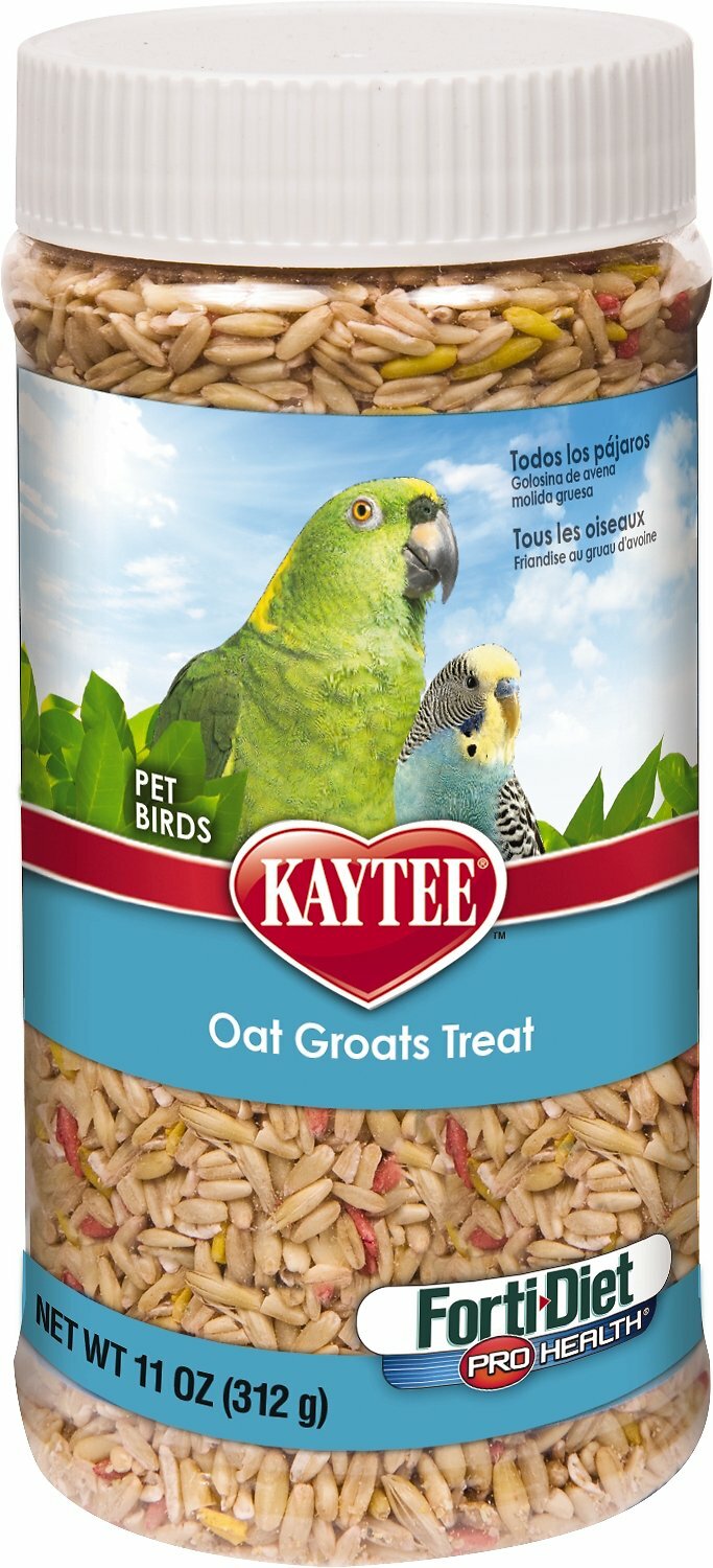Kaytee Forti-Diet Oat Groats Treat for All Pet Birds, (3 Pack) 71859942612| eBay