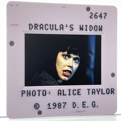35mm Slide Dracula's Widow 80s Horror Movie Publicity Sylvia Kristel ...
