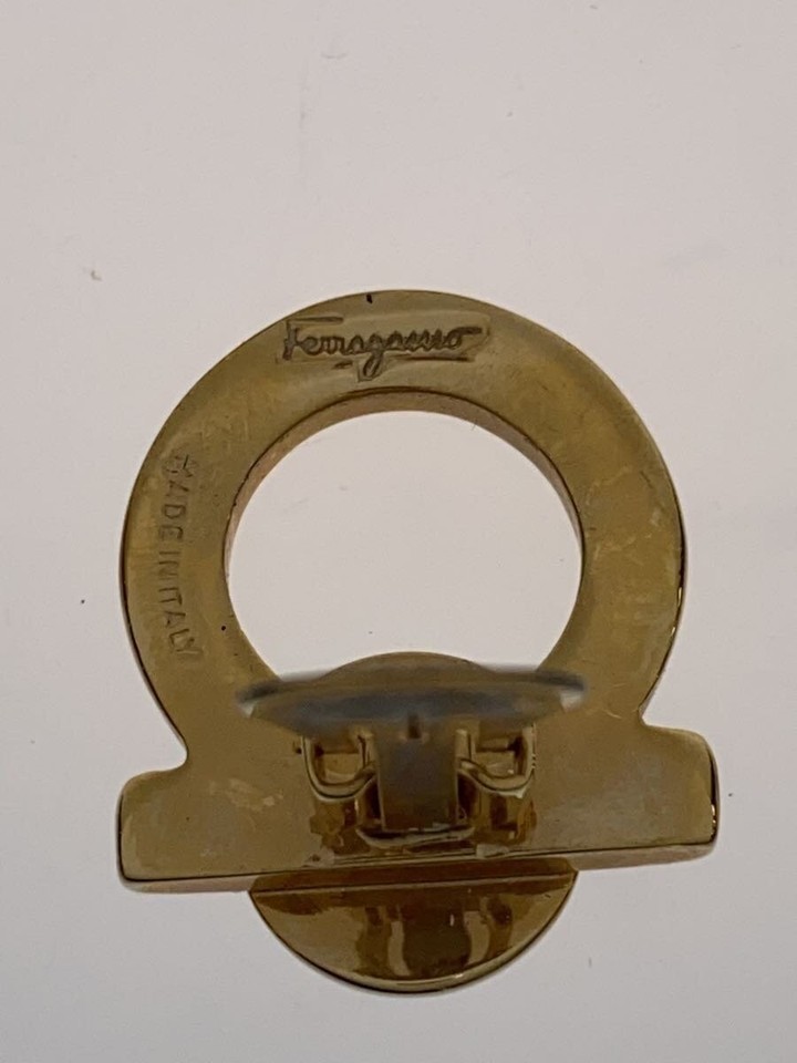 Salvatore Ferragamo Earrings Ladies Salvatore Ferragamo Color Fading Prese Ki074 | eBay