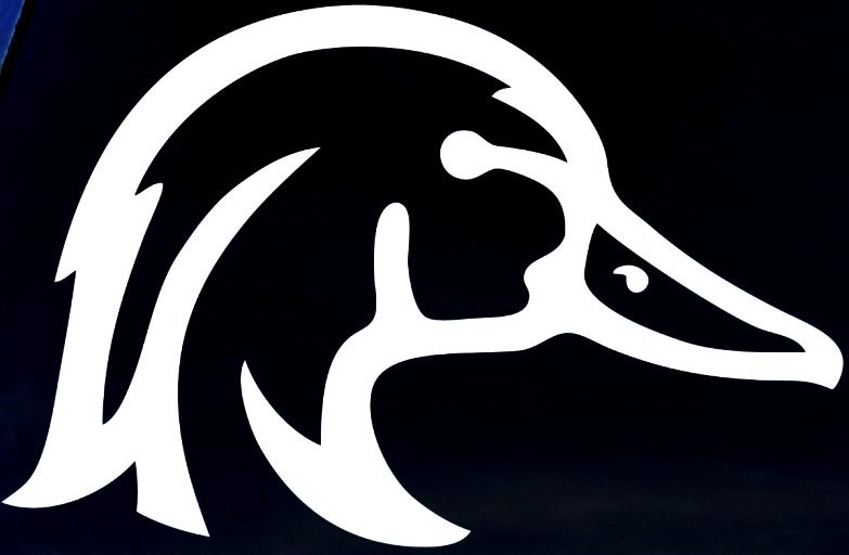 Wood Duck Head Logo 1,952 Wood Duck Head Stock Photos Free