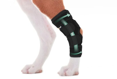 Lyderpet Dog Leg Brace for Rear Hock Joint, Compression Wrap Strong ...