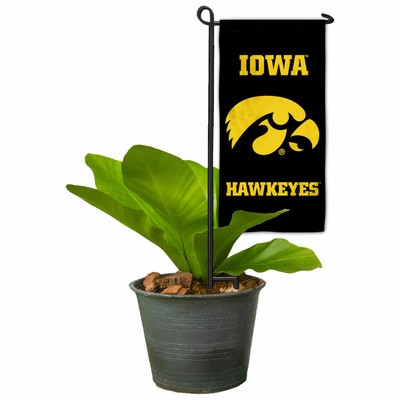 Iowa Hawkeyes Table Centerpiece and Mini Garden Flag Topper Marker | eBay