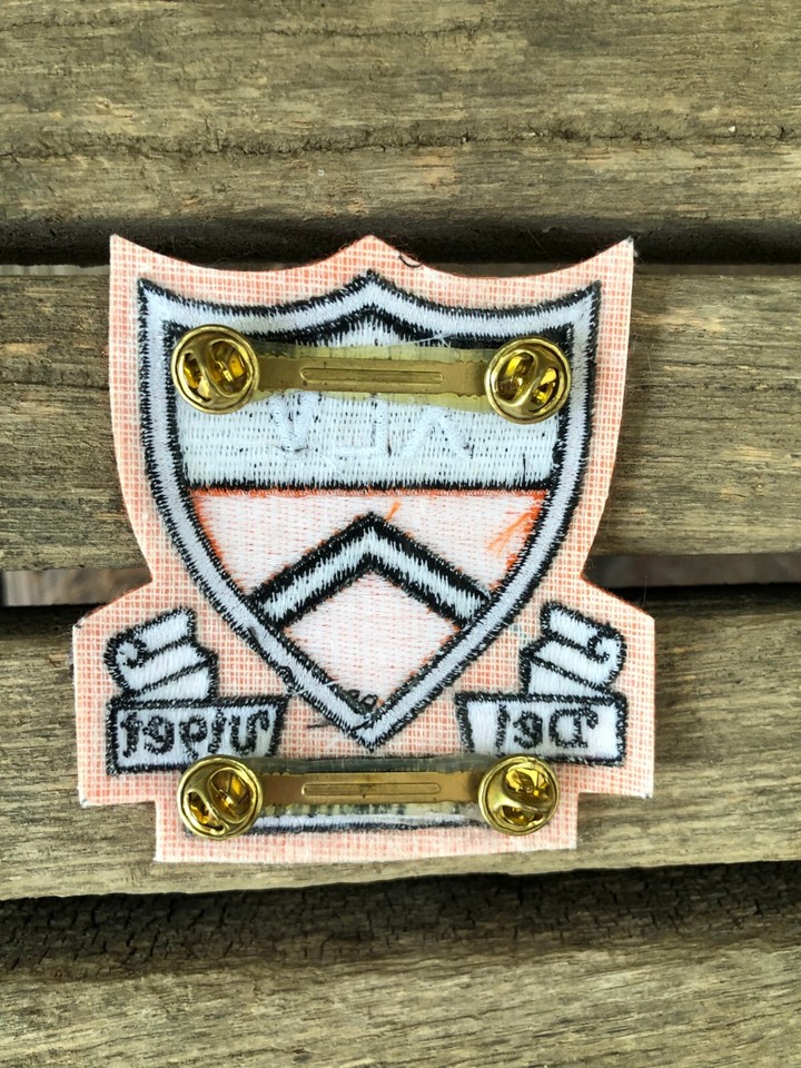 princeton university 1945 patch | eBay