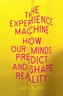 The Experience Machine: How Our Minds Predict and Shape Reality ...