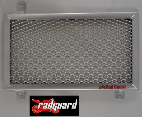 Kawasaki Versys X 300 2017-2024 RAD GUARD Radiator Guard - Polished ...
