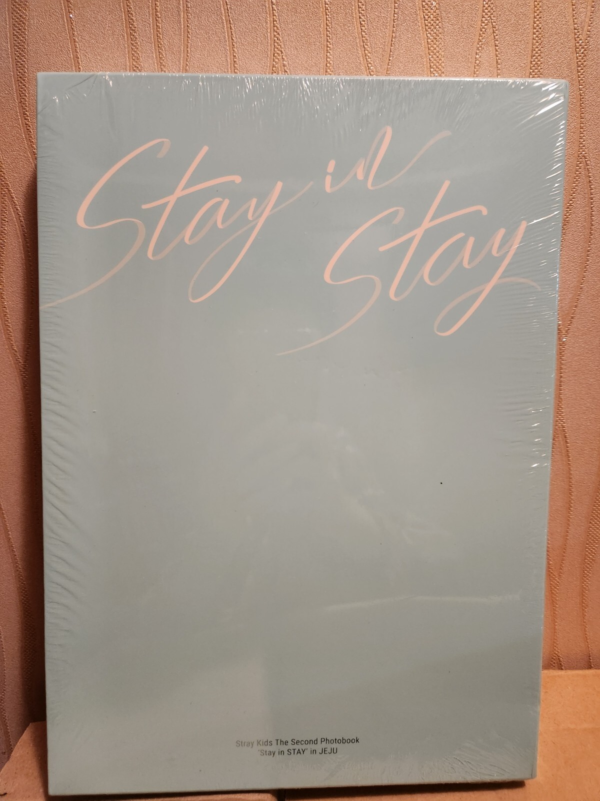 Stray Kids Jeju SKZOO EXHIBITION-Stay in STAY OFFLINE MD: PHOTOBOOK | eBay